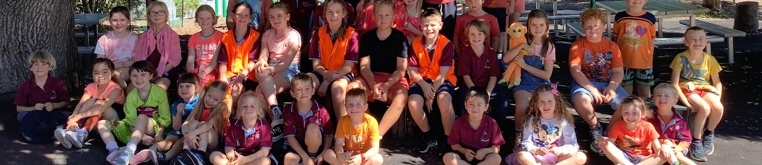 Forms and Policies – Lenswood Primary School